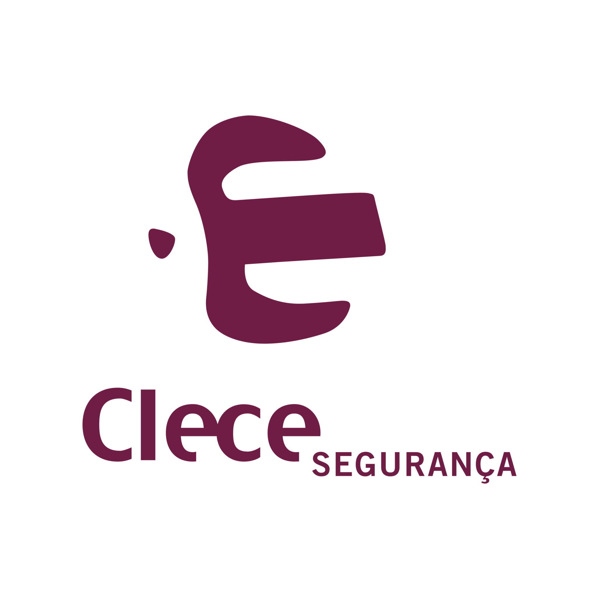 Clece y filiales - Clece