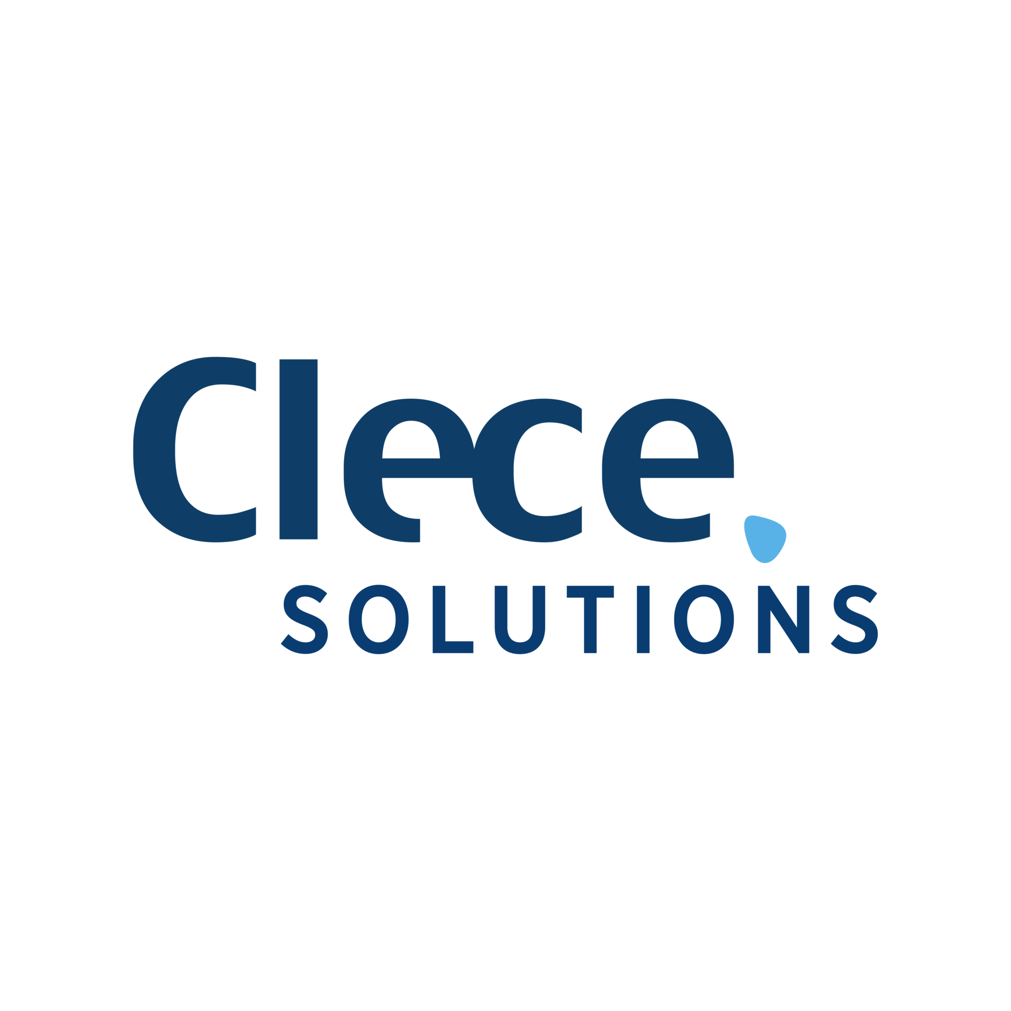 Clece y filiales - Clece
